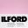 Ilford Multigrade Paper Developer 1L - Parallax Photographic Coop