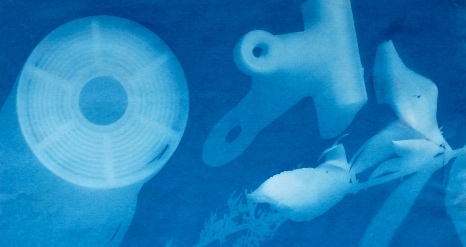 How To Use Cyanotype Paper - Parallax Photographic Coop