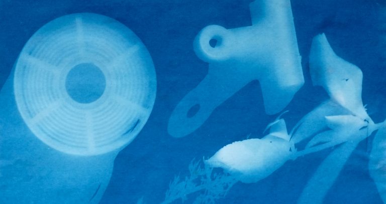 How To Use Cyanotype Paper - Parallax Photographic Coop