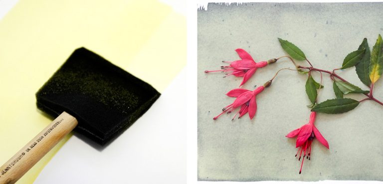 How To Make Cyanotypes - Parallax Photographic Coop