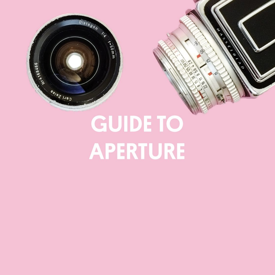 Guide To Film Speed - ISO - Parallax Photographic Coop