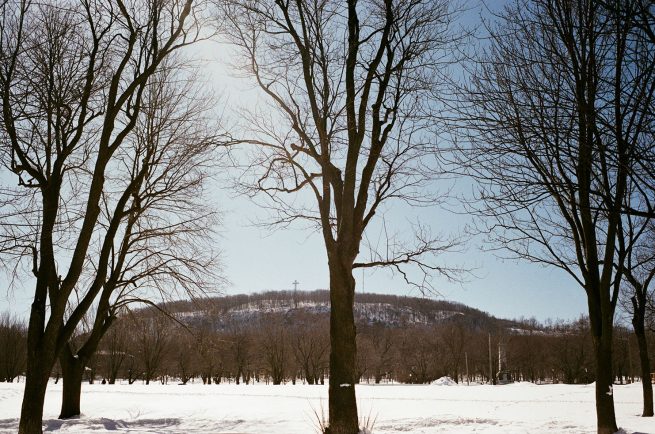 Second Fuji Superia 400 Film Review - Parallax Photographic Coop