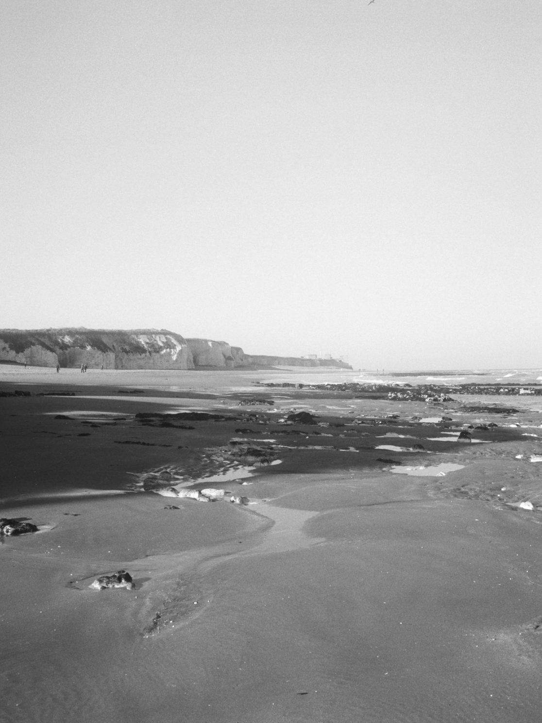 Ilford Delta 400 120 Film Review - Parallax Photographic Coop