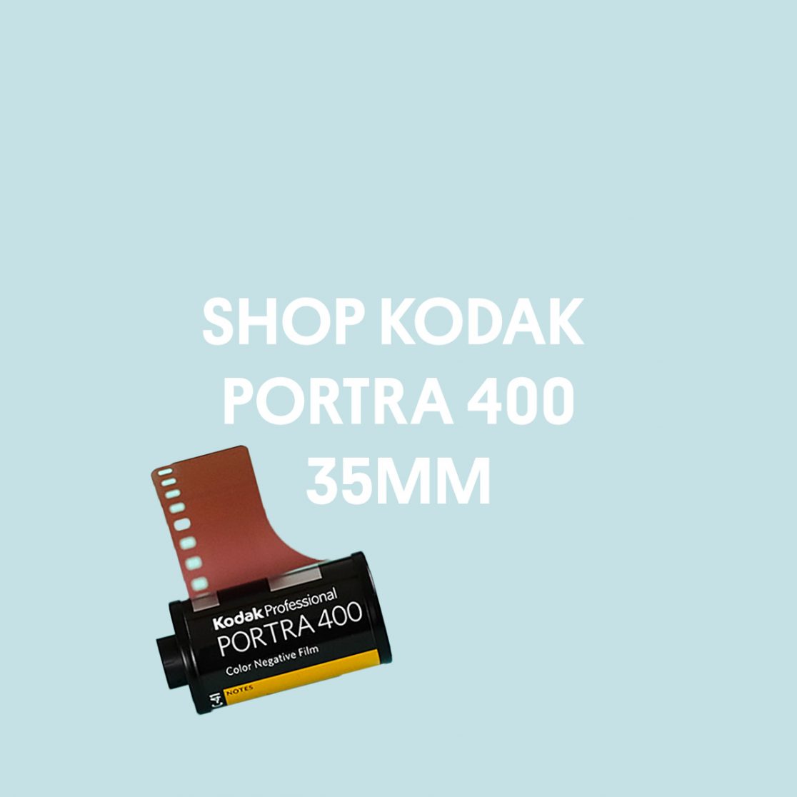 Kodak Portra 400 Film Review - Parallax Photographic Coop