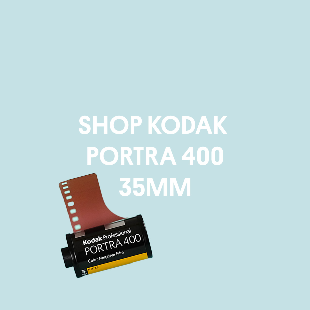 Second Kodak Portra 400 Film Review - Parallax Photographic Coop
