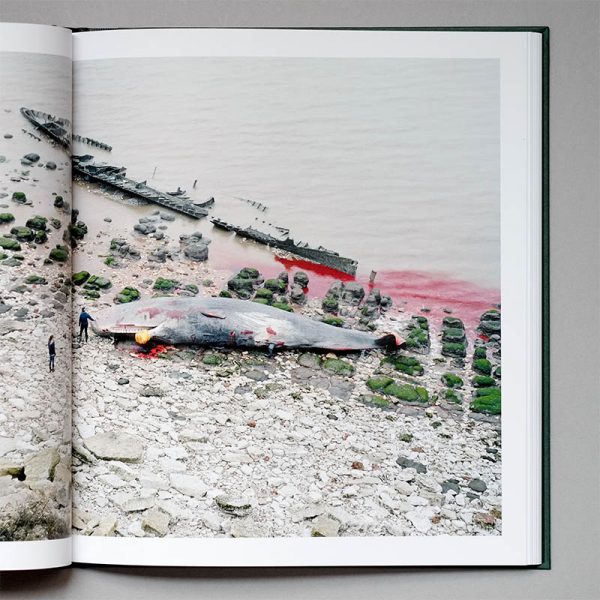 ROBIN FRIEND Bastard Countryside - Parallax Photographic Coop