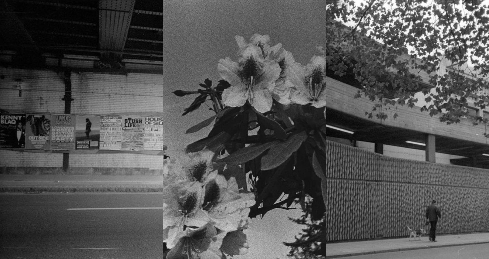 This Is How You Shoot Street Candy ATM - Parallax Photographic Coop
