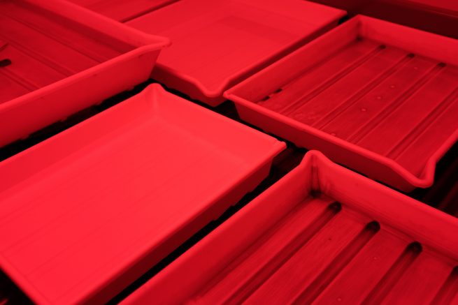 Beginners Guide To The Darkroom - Parallax Photographic Coop