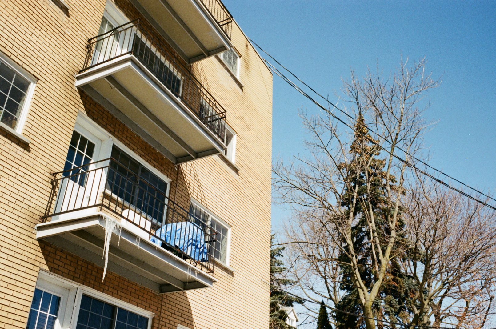 Fuji C200 Film Review - Parallax Photographic Coop