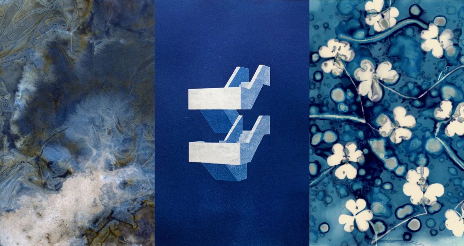 This Is How You Make Cyanotypes - Parallax Photographic Coop