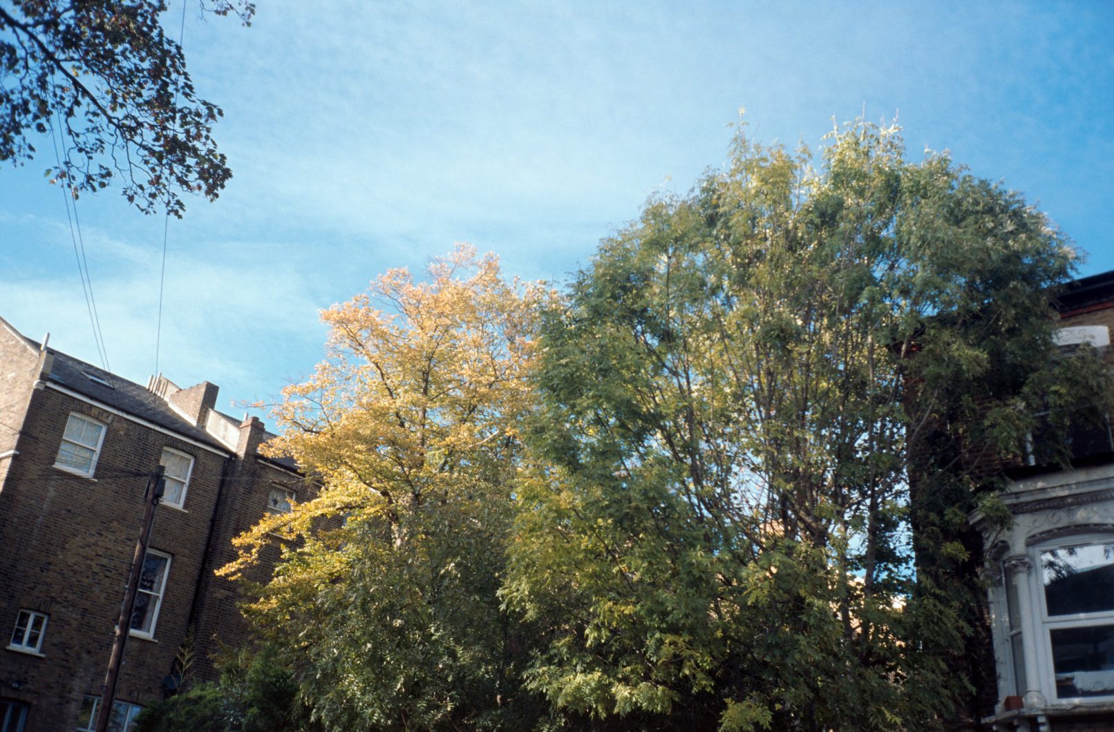 Kodak Ektachrome 100 Film Review - Parallax Photographic Coop