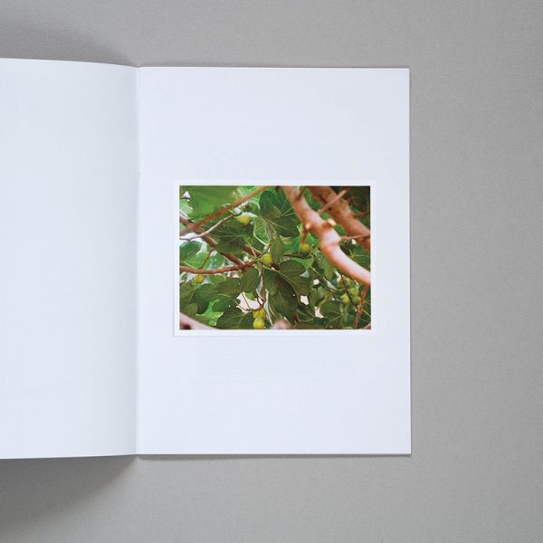 REBECCA DILG I - Self Published Books - Parallax Photographic Coop