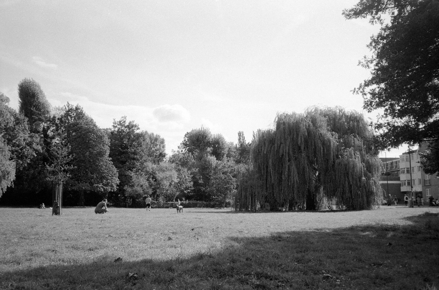 Ilford Delta 400 Film Review - Parallax Photographic Coop