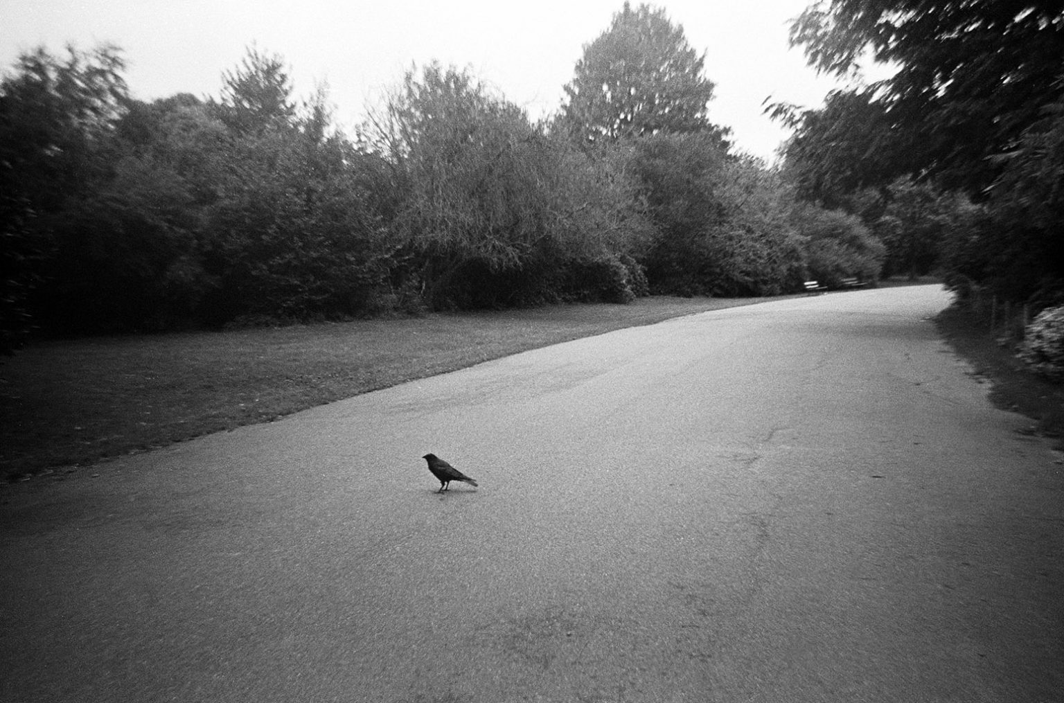 AgfaPhoto APX 400 Film Review - Parallax Photographic Coop