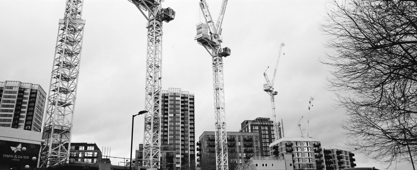 Kodak T-Max 100 In 510 Pyro Film Review - Parallax Photographic Coop