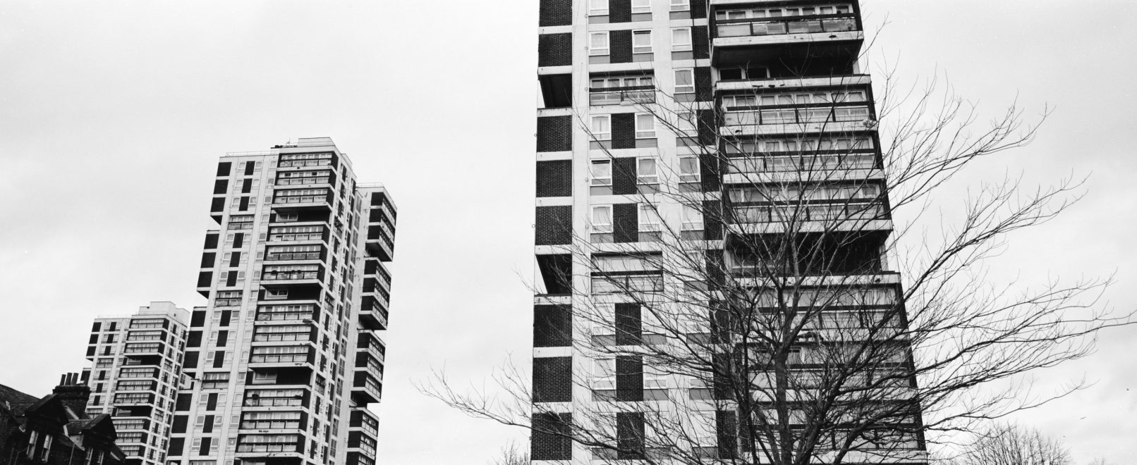 Kodak T-Max 100 In 510 Pyro Film Review - Parallax Photographic Coop