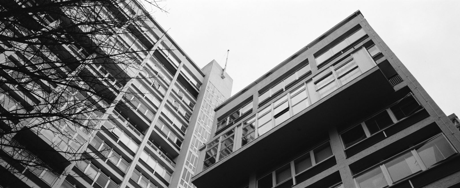 Kodak T-Max 100 In 510 Pyro Film Review - Parallax Photographic Coop