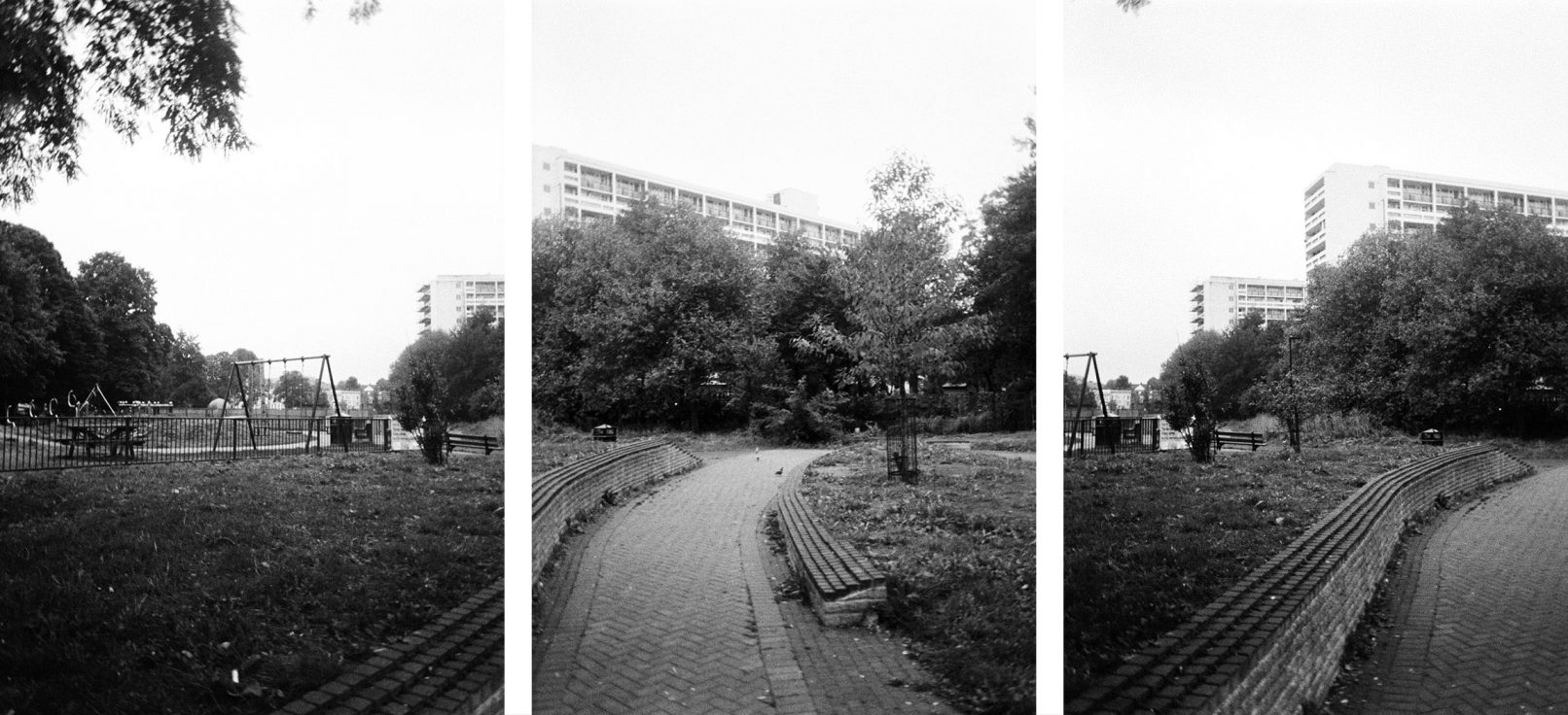 Kodak Tri-X 400 H35 Half Frame Film Review - Parallax