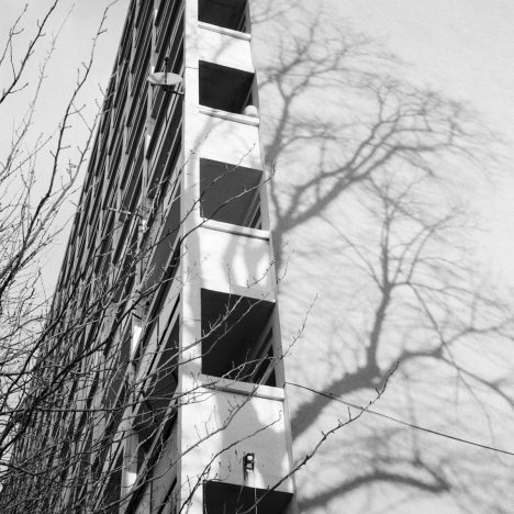 Kentmere PAN 100 35mm Film 36 Exposures - Budget Black & White Film