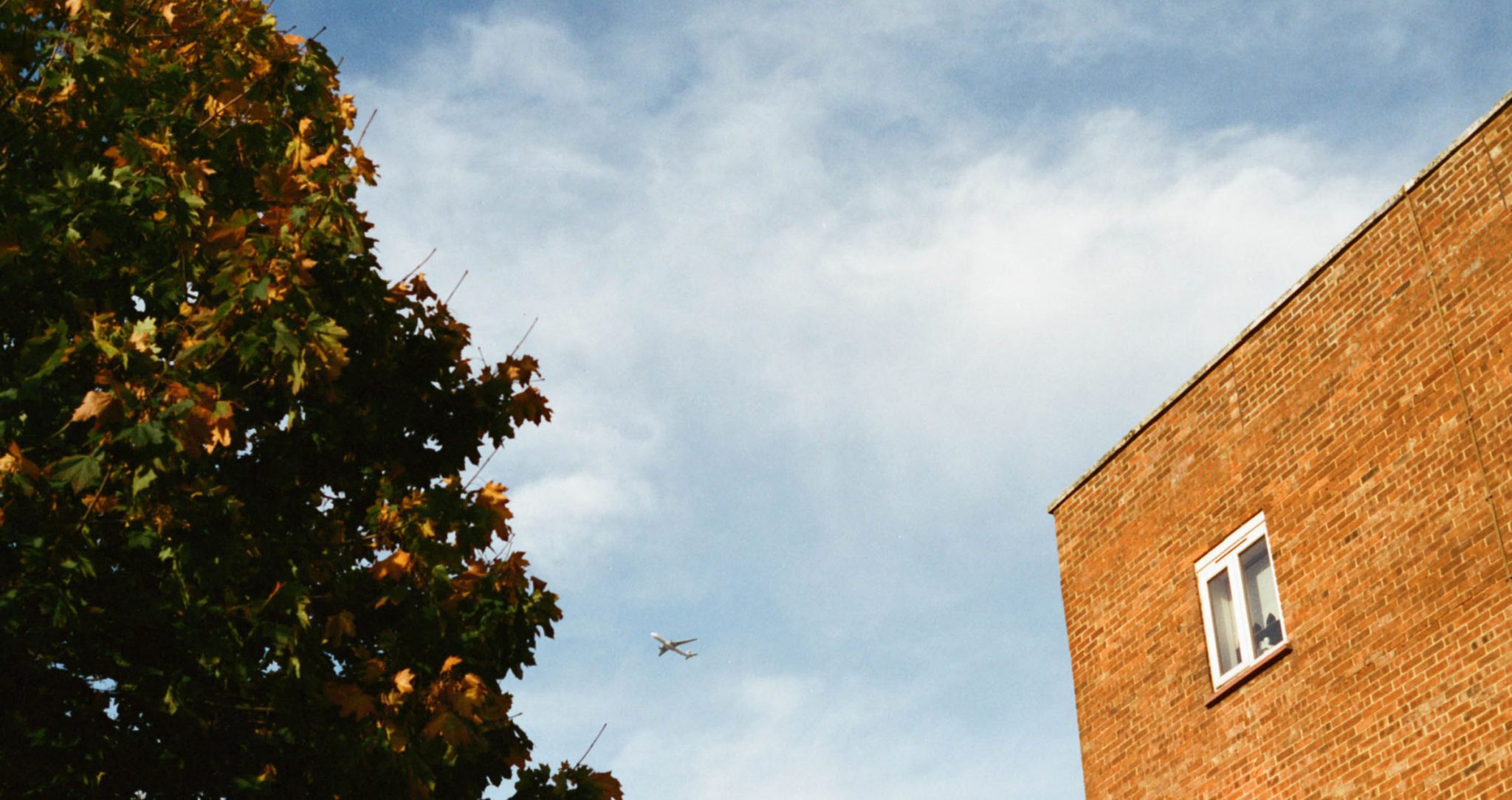 CineStill 400Dynamic Film Review - Parallax Photographic Coop