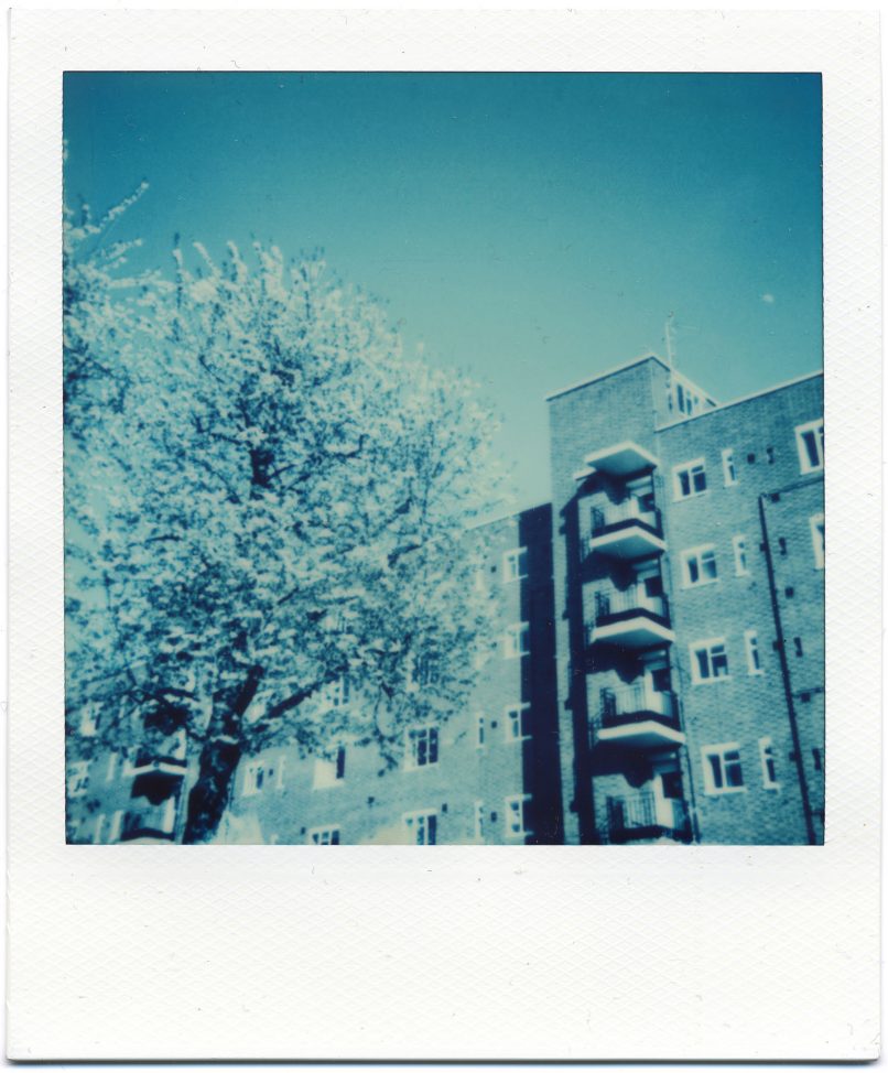 Polaroid Blue 600 Film Review - Parallax Photographic Coop