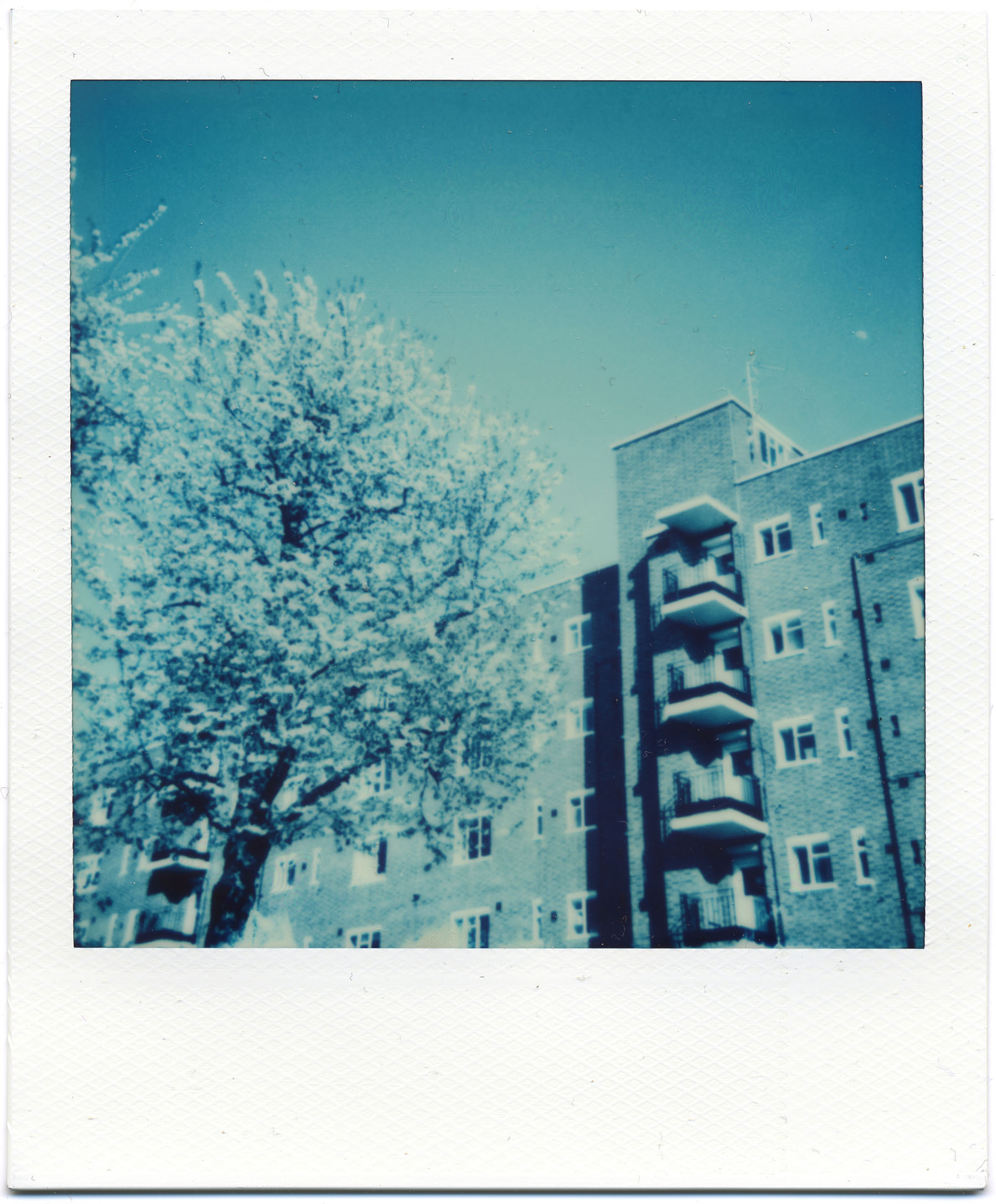 Polaroid Blue 600 Film Review - Parallax Photographic Coop