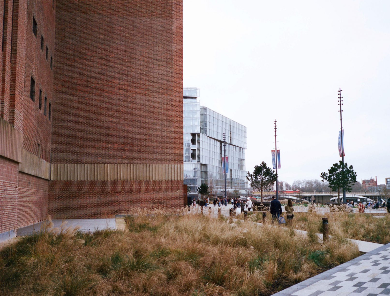 CineStill 400Dynamic 120 Film Review - Parallax Photographic Coop