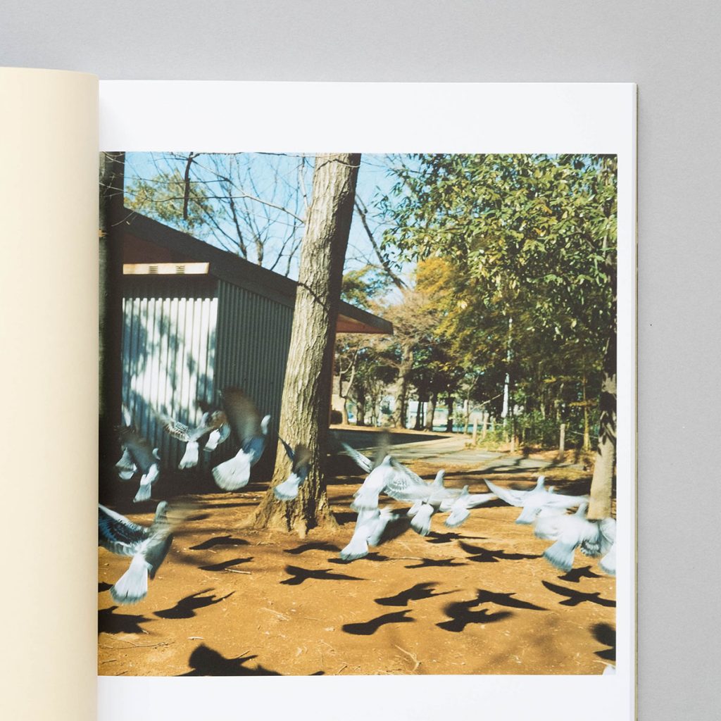 MIKIKO HARA Small Myths