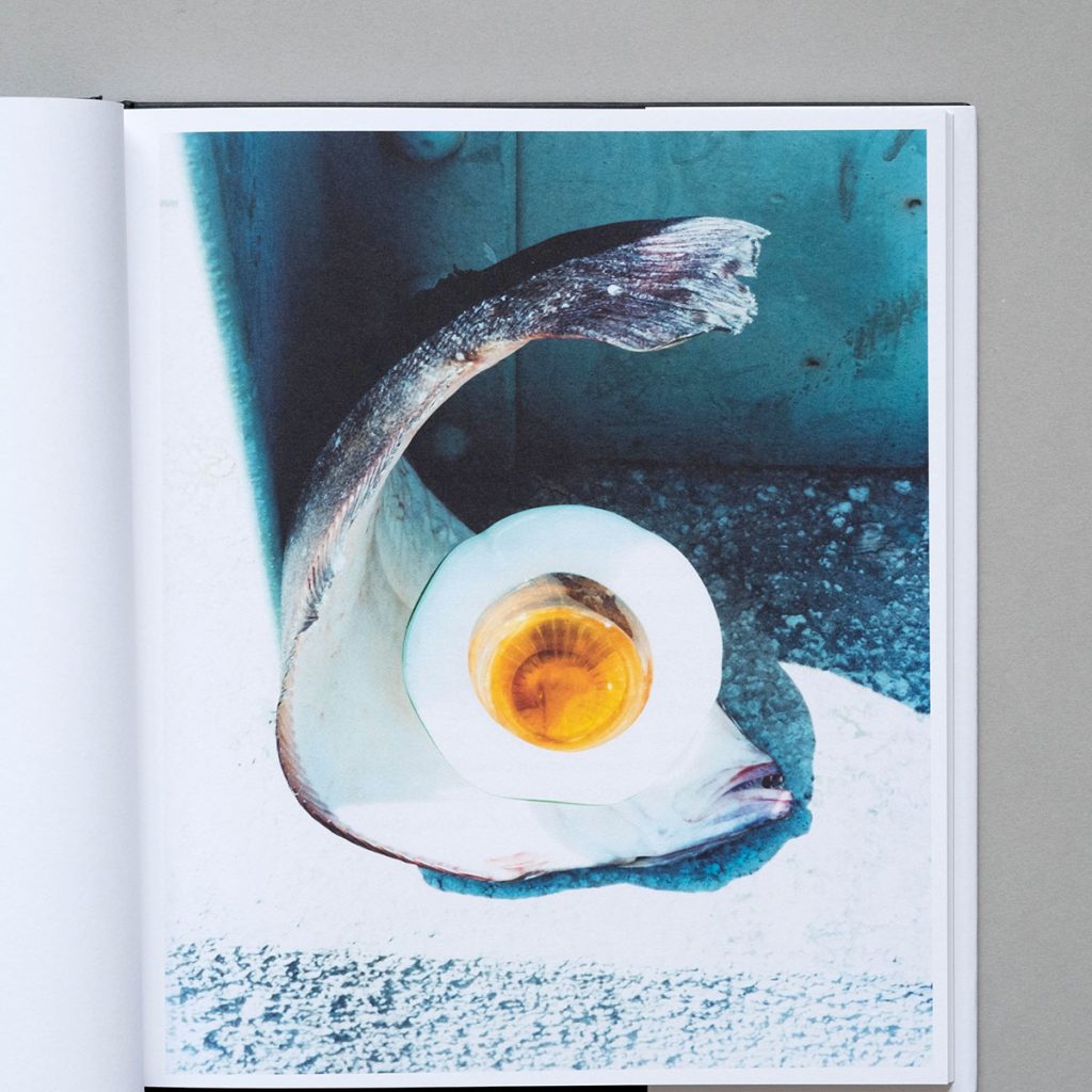 NAOHIRO HARADA Tokyo Fishgraphs - Parallax Photographic Coop