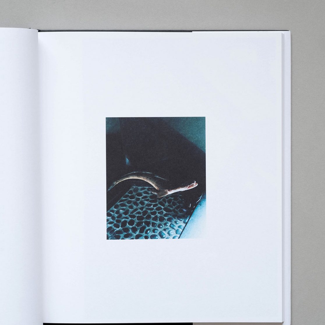 NAOHIRO HARADA Tokyo Fishgraphs - Parallax Photographic Coop