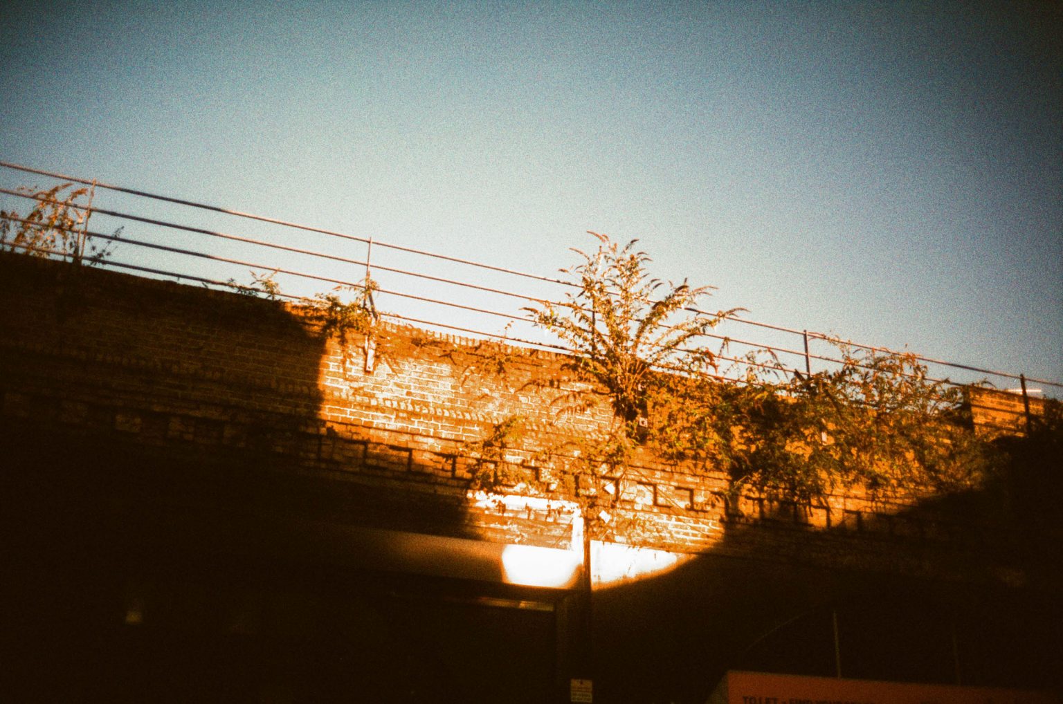 Harman Phoenix 200 Film Review - Parallax Photographic Coop