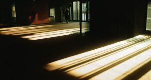 AgfaPhoto Color 400 Film Review - Parallax Photographic Coop