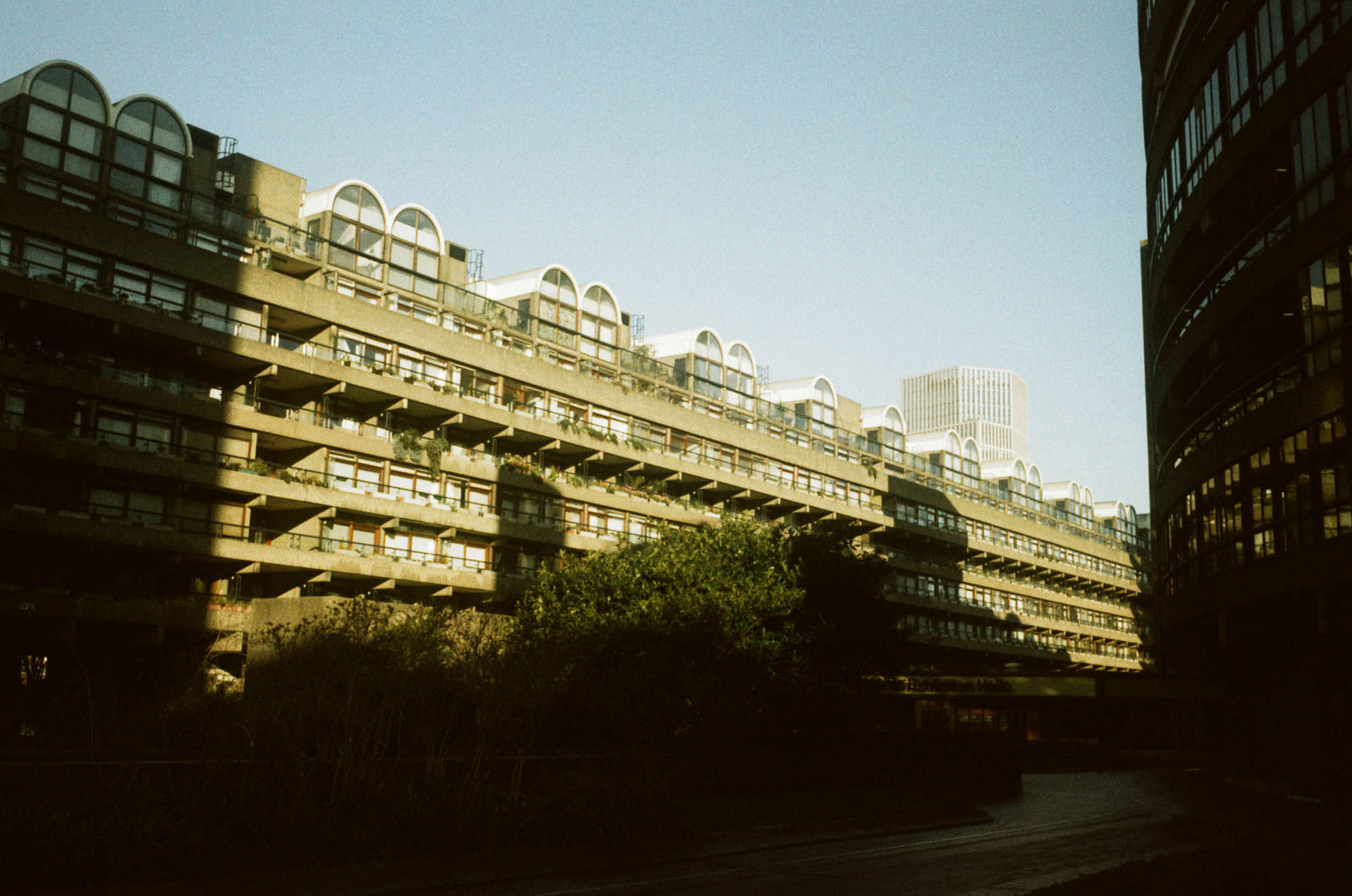 AgfaPhoto Color 400 Film Review - Parallax Photographic Coop