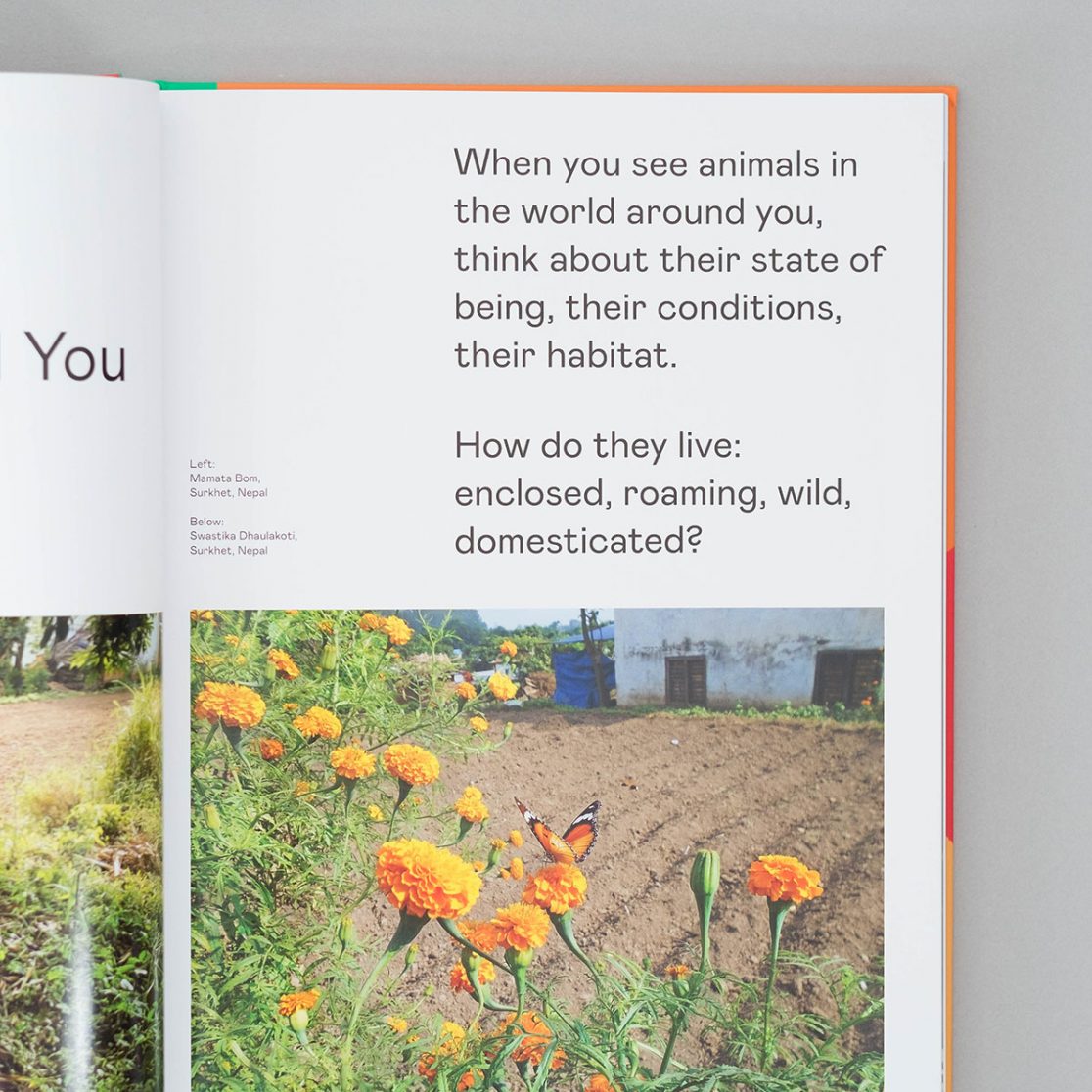 Eyes Open: 23 Photography Projects for Curious Kids